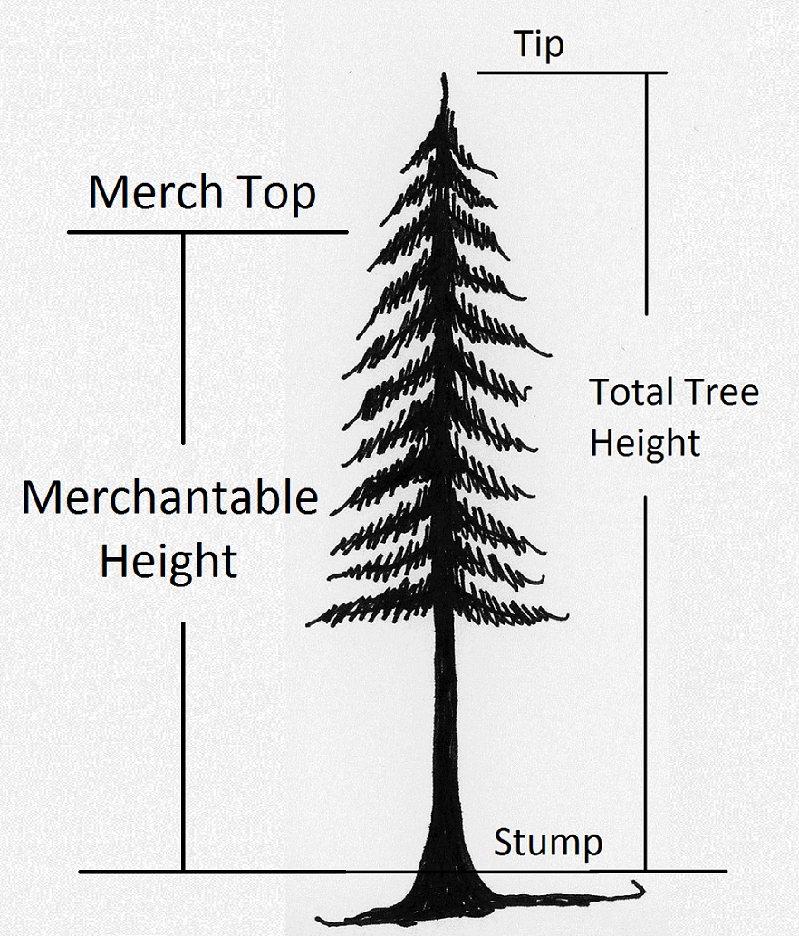 Measure trees and vegetation like a PRO - WEMULCH
